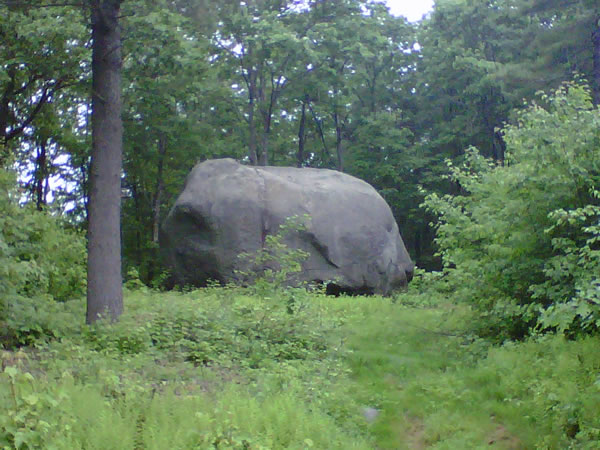 Elephant Rock | newportnh
